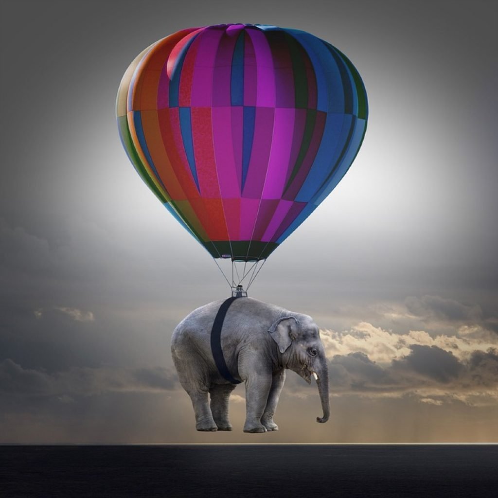Why is it Important to have a personal mission statement » My Courses