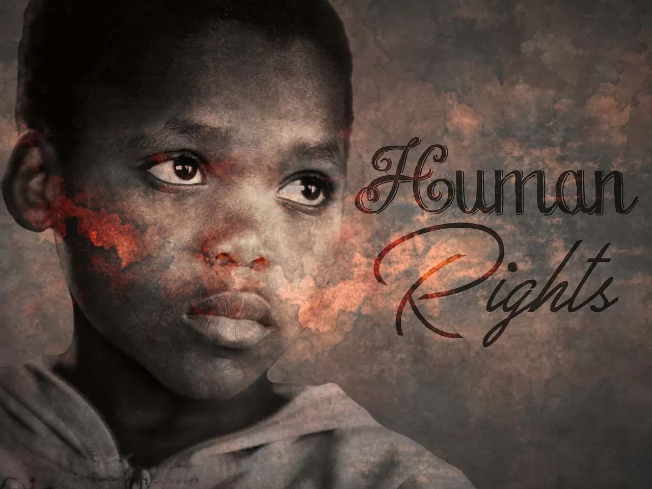 Is the Government doing enough to ensure that Human Rights are ...