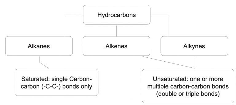 Organic Chemistry Grade 12 Notes pdf » My Courses