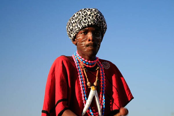 Novel: Indlal' inamanyala IsiXhosa Grade 12: Mind the Gap Guide pdf ...