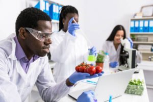 LandbouTegnologie (Agricultural Technology) CAPS Document - Lesson Plans for FET Phase Grade 10 ...