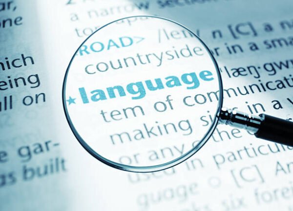 English FAL Grade 11 Paper 1 Term 4 November 2019 Exam Question Paper ...