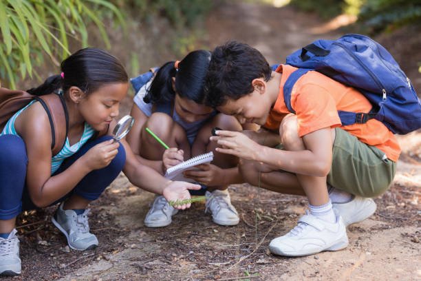 Natural Sciences And Technology Grade 4 Term 1 Test And Exam Papers Natural Sciences And Technology Grade 4 Term 1 Test And Exam Papers