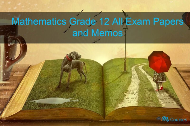 Mind the Gap Grade 12 Mathematics Study Guide pdf Download » My Courses