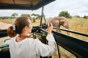 Grade 12 Tourism: Tourism Sectors Self Study Guide Free Download » My ...