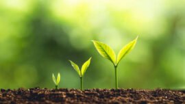 NCV Level 4 Question Papers and Memos » Page 2 of 5 » My Courses