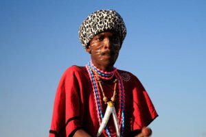 Drama: Inkawu idliw' ilila IsiXhosa Grade 12: Mind the Gap Guide pdf ...