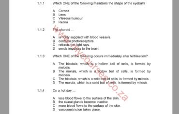 Life Sciences Grade 12 June 2023 Exam Question Papers and Memorandum ...