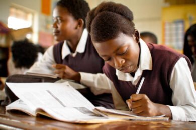Novel: Kgalagalo Tsa Setu Sepedi Grade 12: Mind the Gap Guide pdf ...