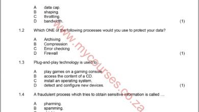 Computer Application Technology CAT Grade 12 Textbook and Teachers ...