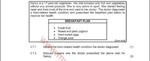 Consumer Studies Grade 12 November 2022 Exam Papers and Memos » My Courses