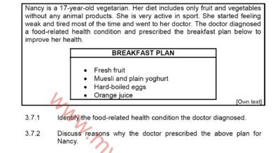 Consumer Studies Grade 12 Free Study Guides for Downloads » My Courses