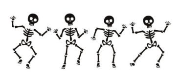 How to Make a Human Skeleton for School Project Grade 5 and Grade 6 ...