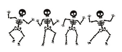 How to Make a Human Skeleton for School Project Grade 5 and Grade 6 ...