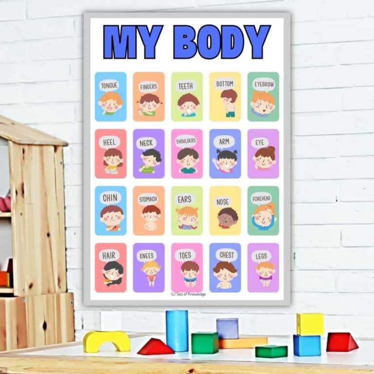 Why my Body is Important to me: Grade 4 Lesson » My Courses