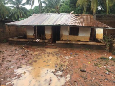 The Path of the Tropical Cyclone Guambe: Satellite Image Map » My Courses