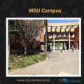 WSU Online Application 2026 Undergraduate » My Courses